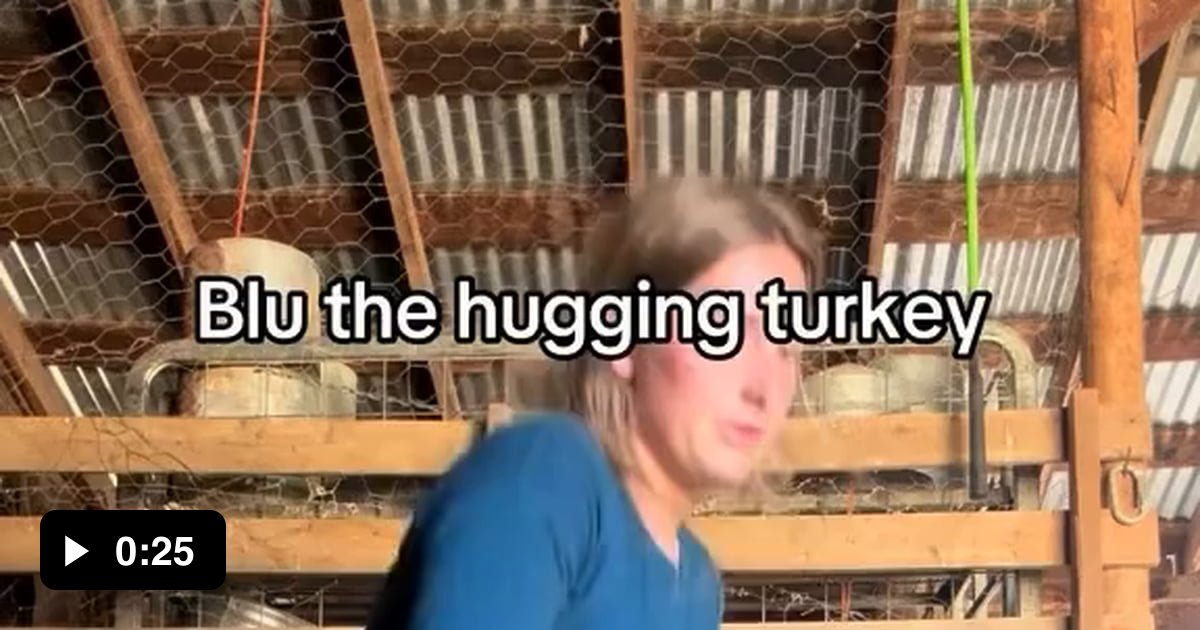 An unexpected hug from a feathered friend - 9GAG
