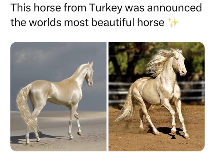 Absolutely stunning 😍 - 9GAG