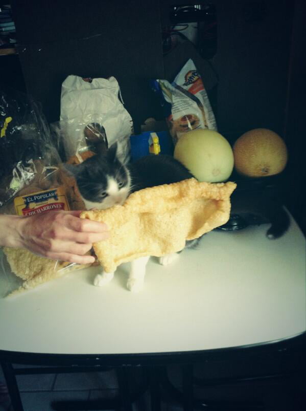 Of a Pork Rind - 9GAG