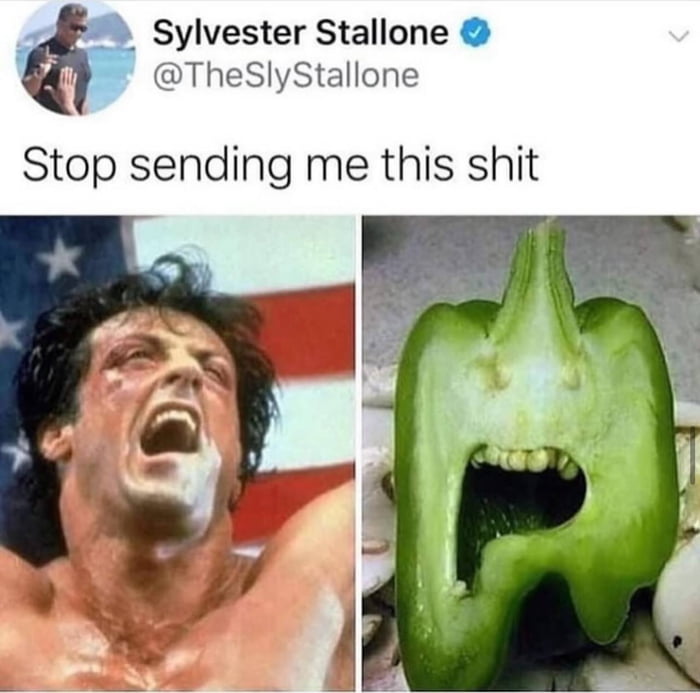 Sylvester Stallone just wants us to stop sending him bell pepper memes ...