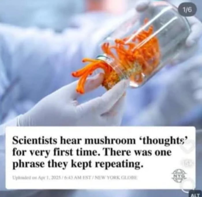 That one phrase probably: "WAAAGH!" - 9GAG