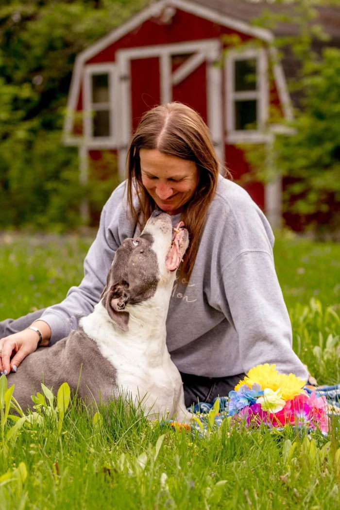 This evening Drago had his end of life photo session and the amazing ...