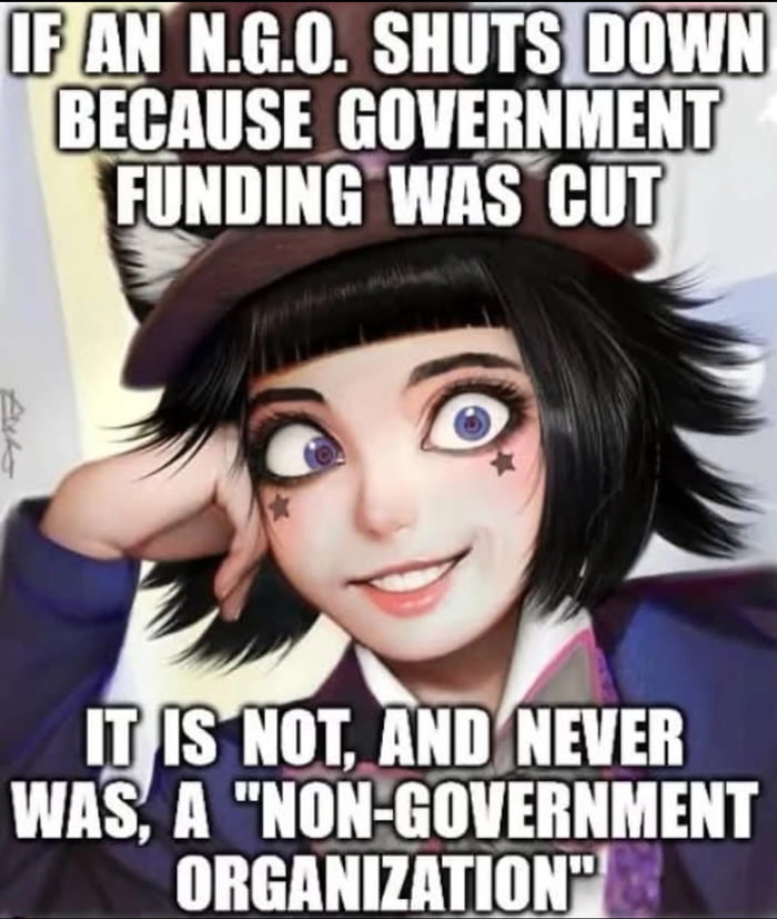 NGO is a dumb acronym for money laundering scheme. - 9GAG