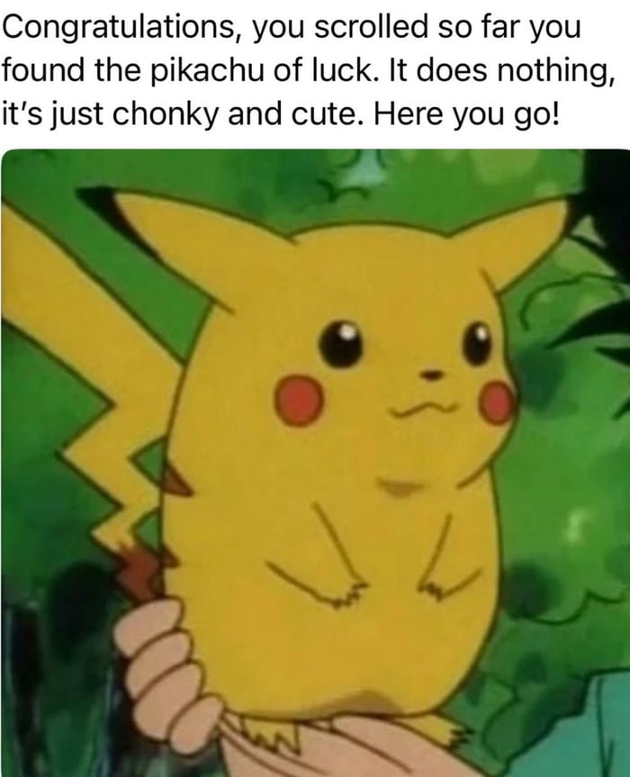 Chonkachu - 9GAG