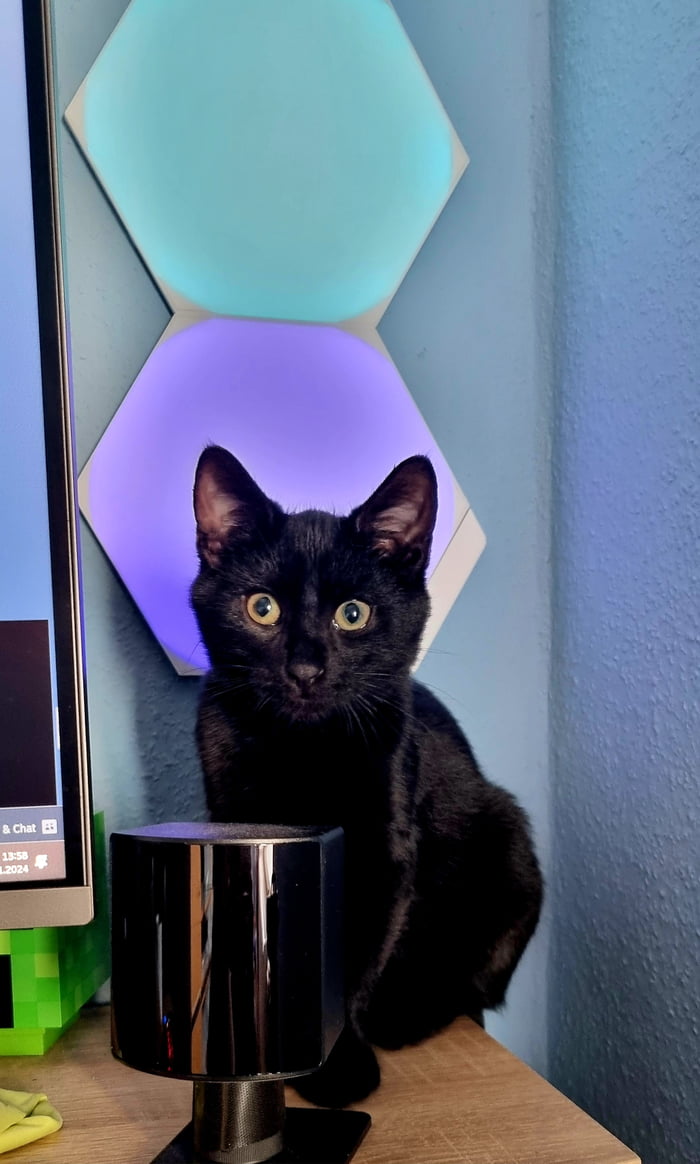 Here's my void for you. 5 months old. - 9GAG