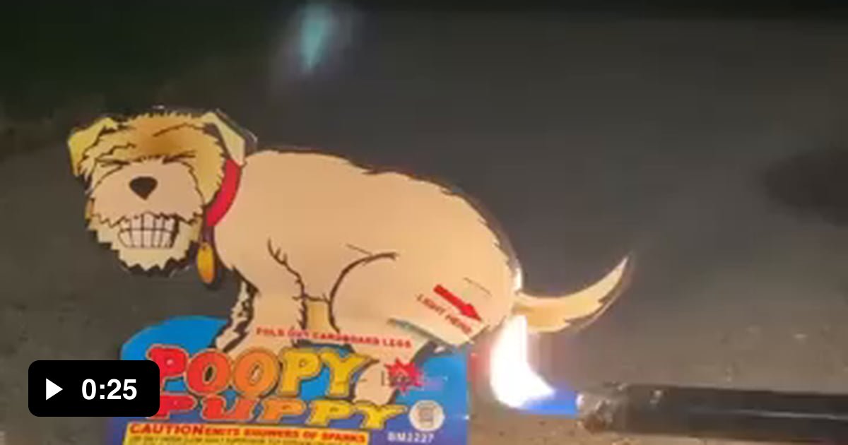 Here's the pooping puppy firework to celebrate the year ahead! Happy ...