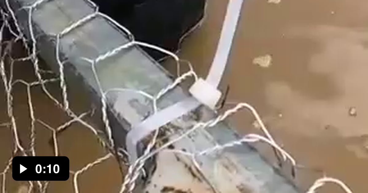 A natural scissors - 9GAG