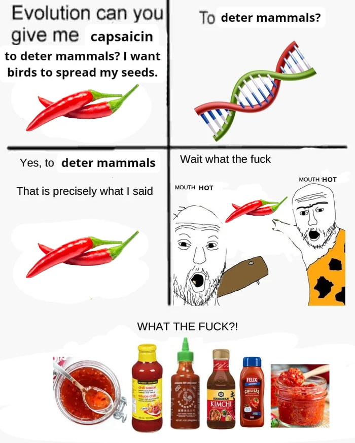 Aell, a bit spicy - 9GAG