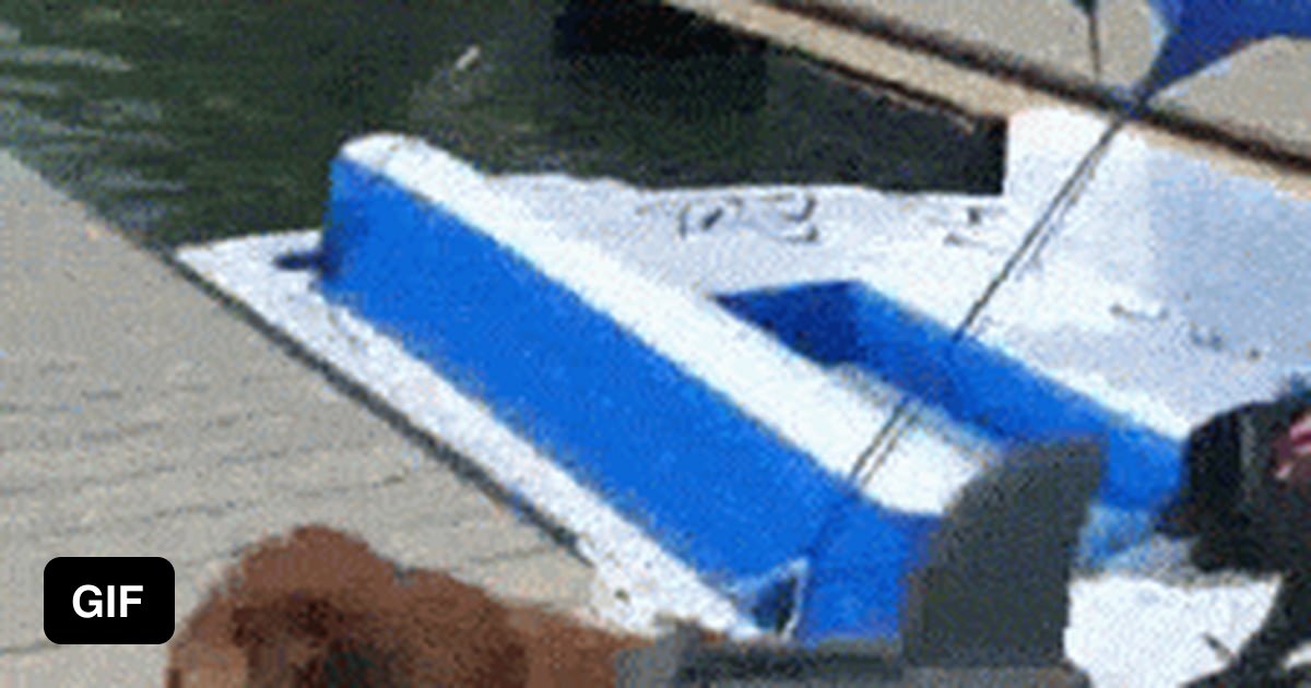 Go ahead and jump! - 9GAG