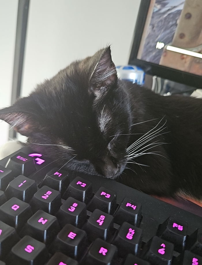 Tech support sleeping on the job - 9GAG