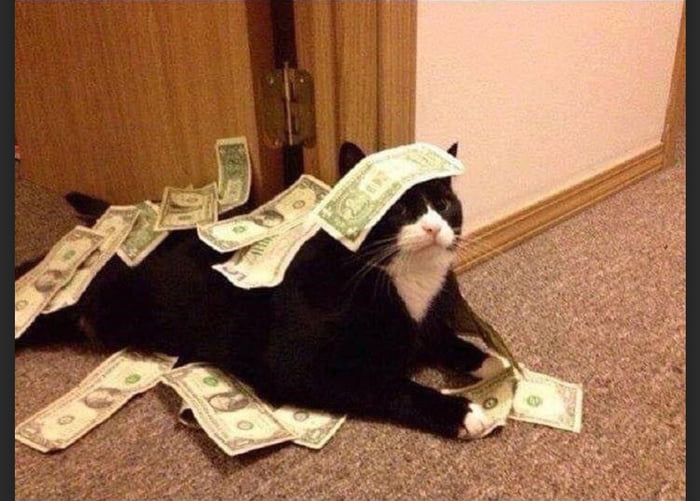 Upvote the money cat. It will bring you nothing but it's a cat. And has ...