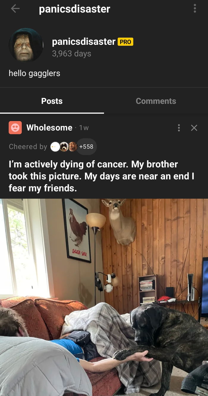 Does somebody know if our virgin brother is still among us? - 9GAG