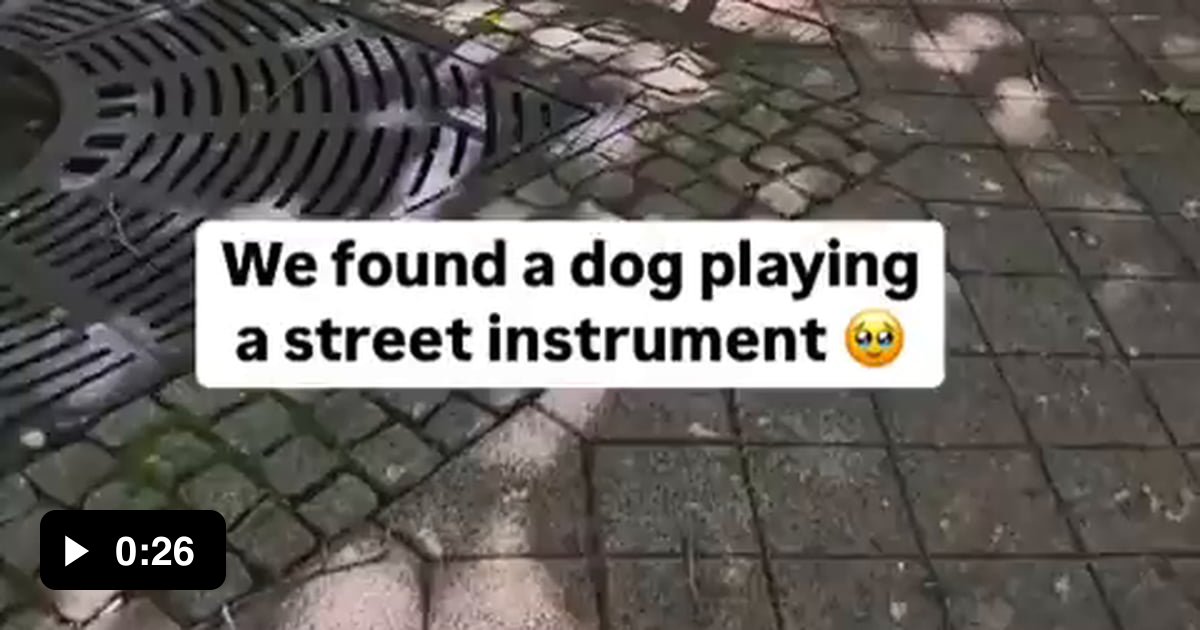 He/She is having lots of fun!! - 9GAG