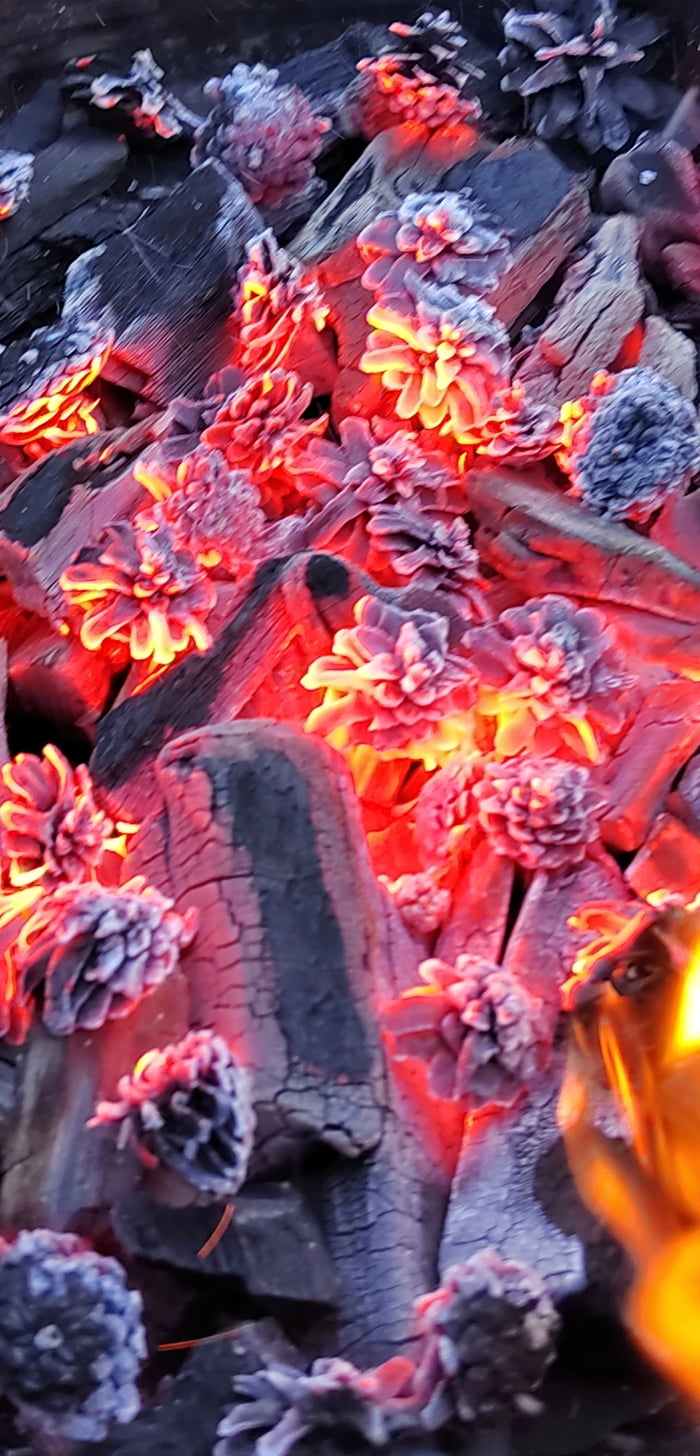 You scrolled so long that a short break by the campfire might help you on your journey - 9GAG