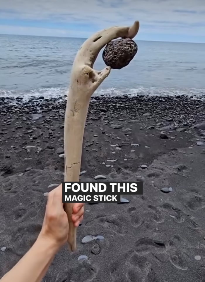 This dude found the stick of a lifetime: Driftwood with infused volcanic rock - 9GAG