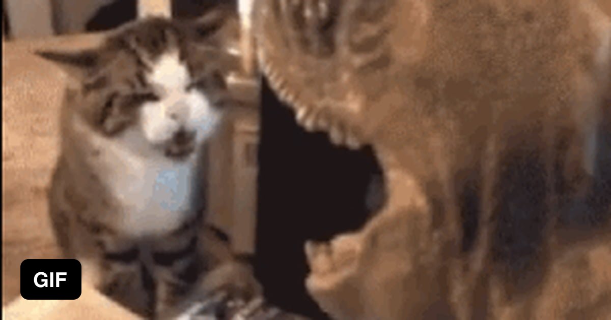 Cat vs T-rex - 9GAG