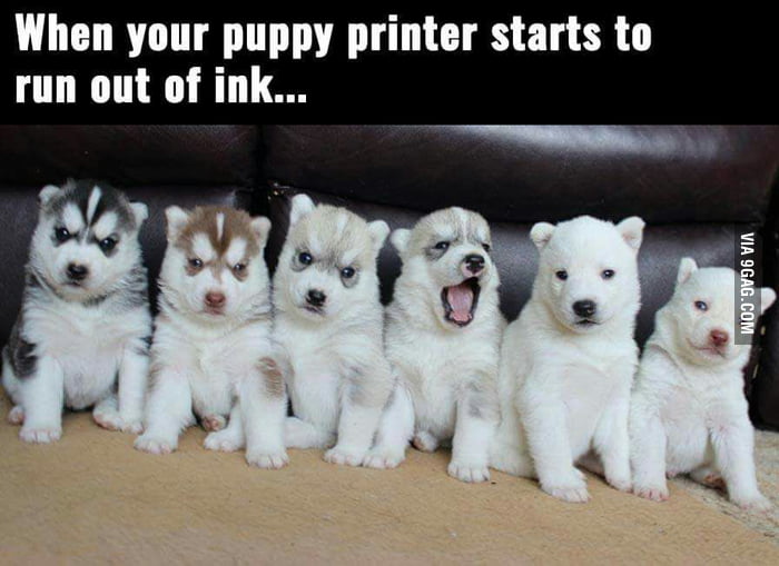 Ink or no ink, prints came out just as adorable. - 9GAG
