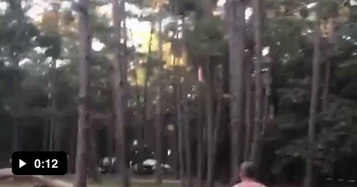 Breaking a log - 9GAG