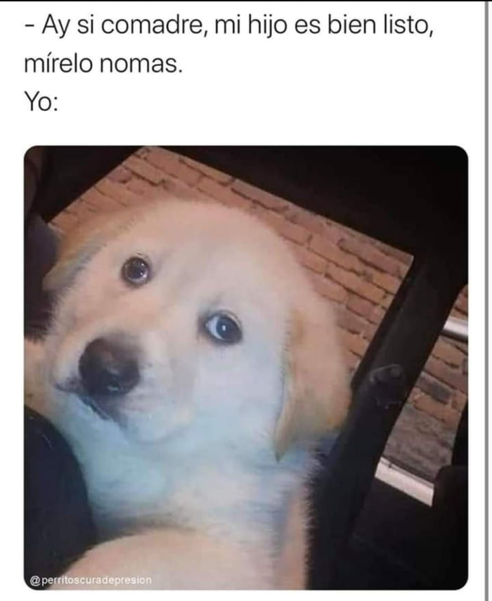 Y aparte galán - 9GAG