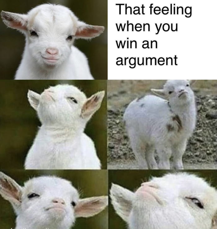 Gloating moment - 9GAG
