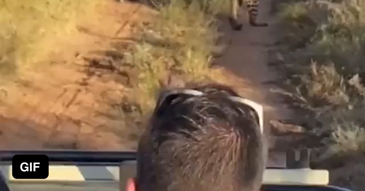 The path is clear - 9GAG