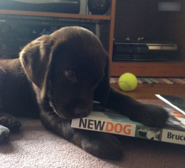 Well yeah duh - 9GAG