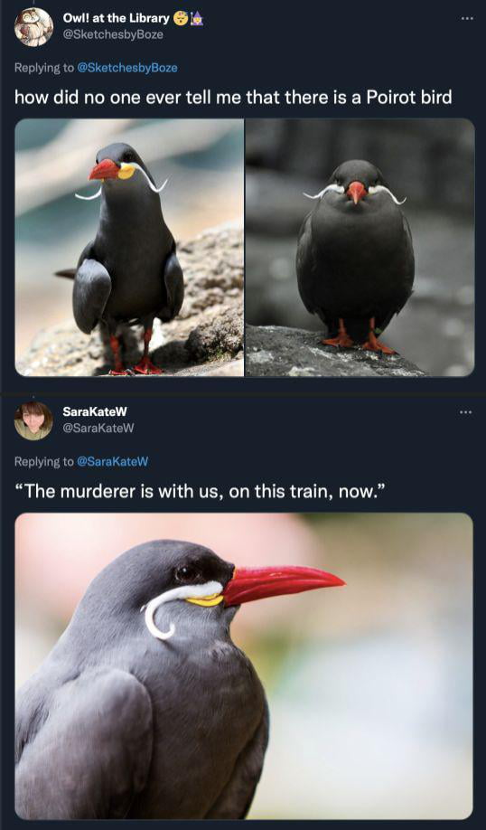 Poirot bird. The end boss of detectives - 9GAG