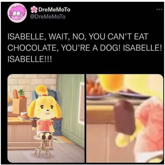 Isabelle Is Wild Truly 9gag