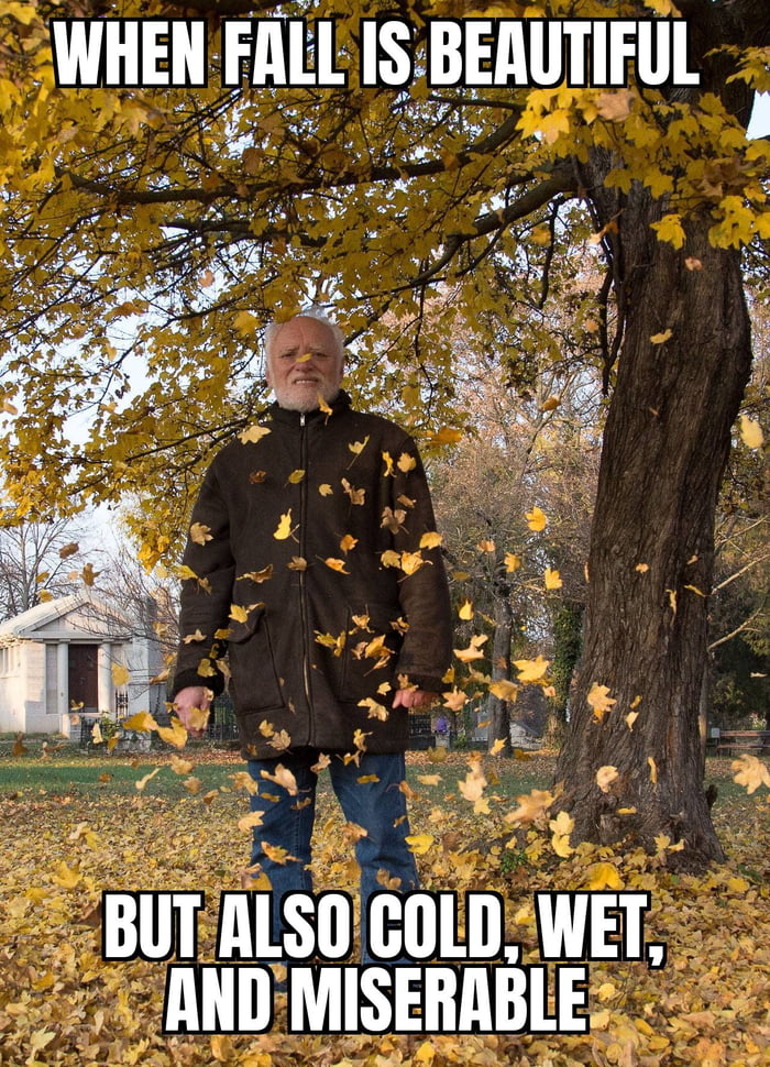 New Harold meme - 9GAG