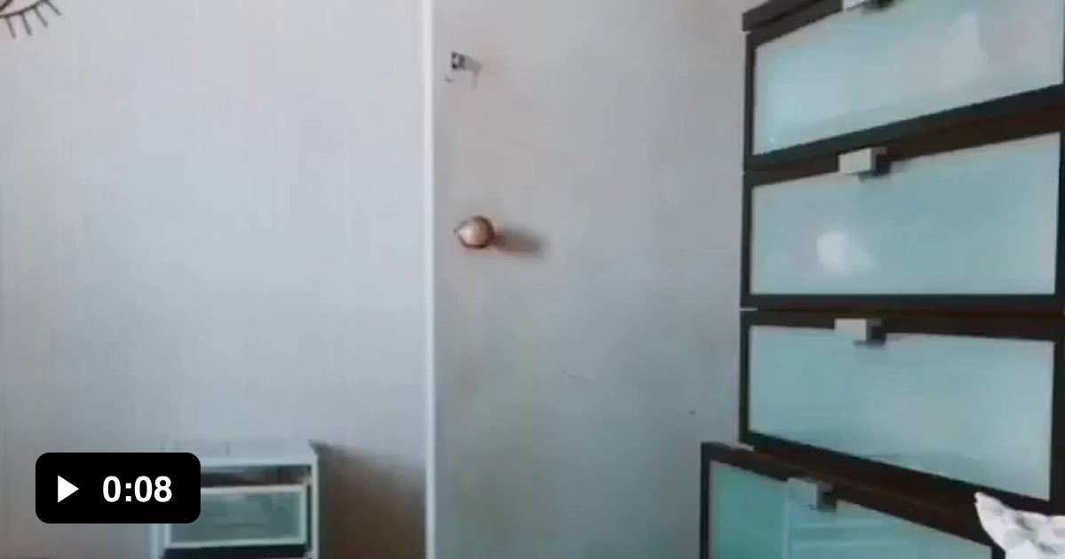 Girls Are Very Naughty 9gag