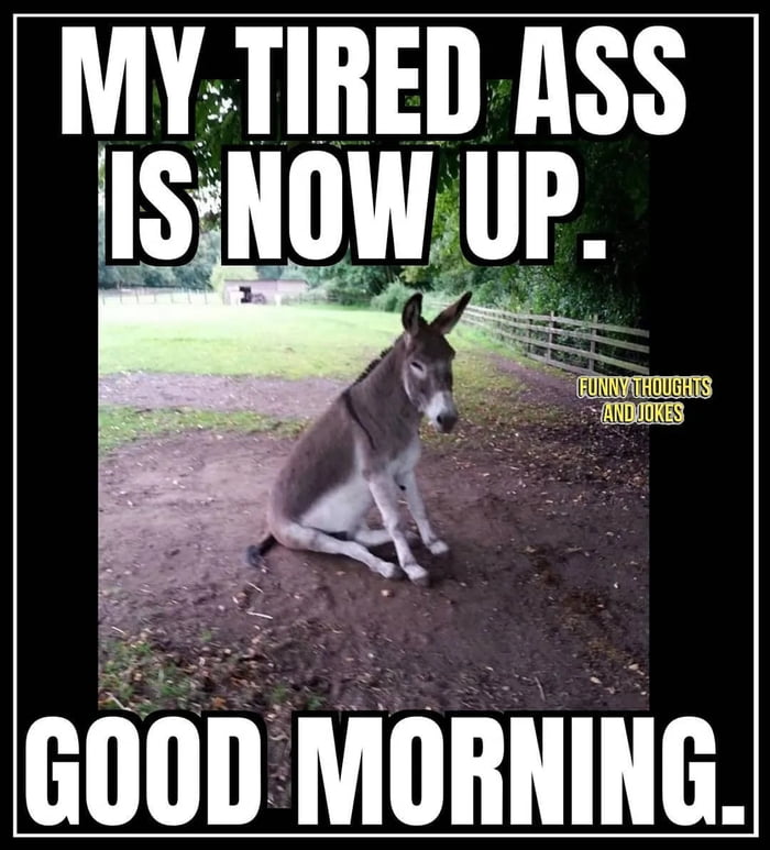 Morning humor - 9GAG