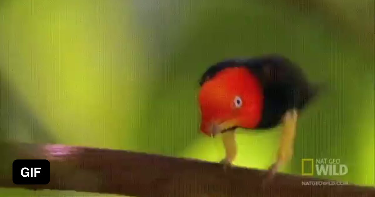 Do these fast tippy taps count? - 9GAG