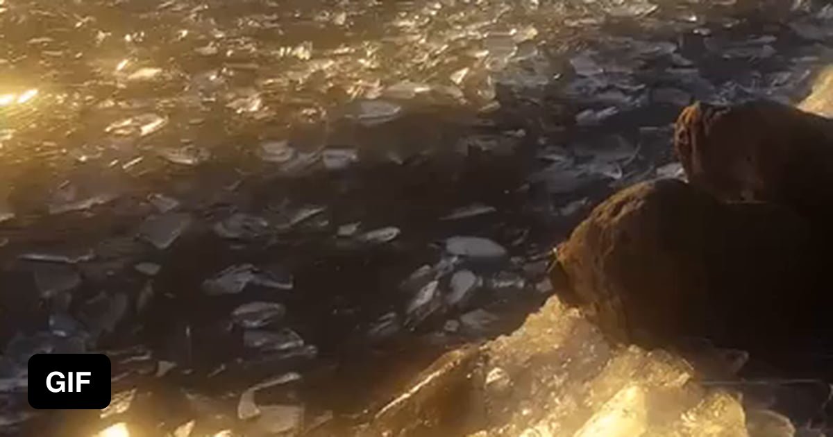 Beautiful ice crystal waves created by nature - 9GAG