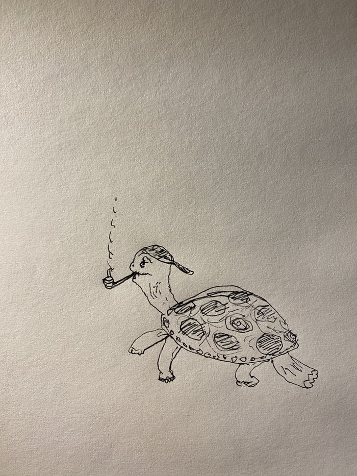 Turtle - 9GAG