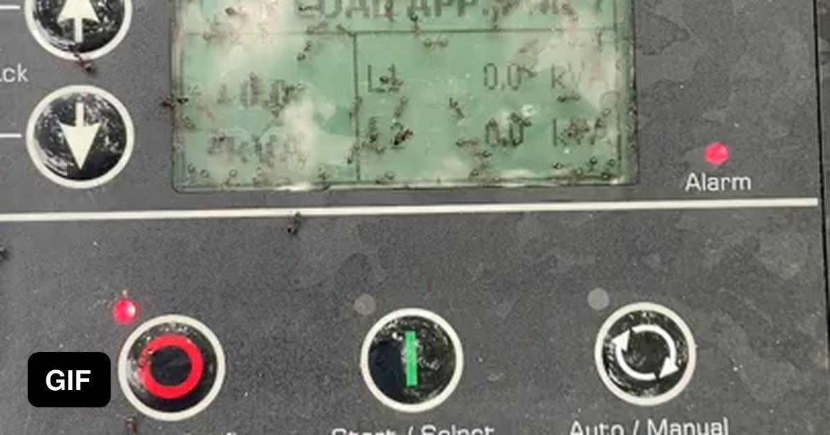 Generator needs some debugging - 9GAG