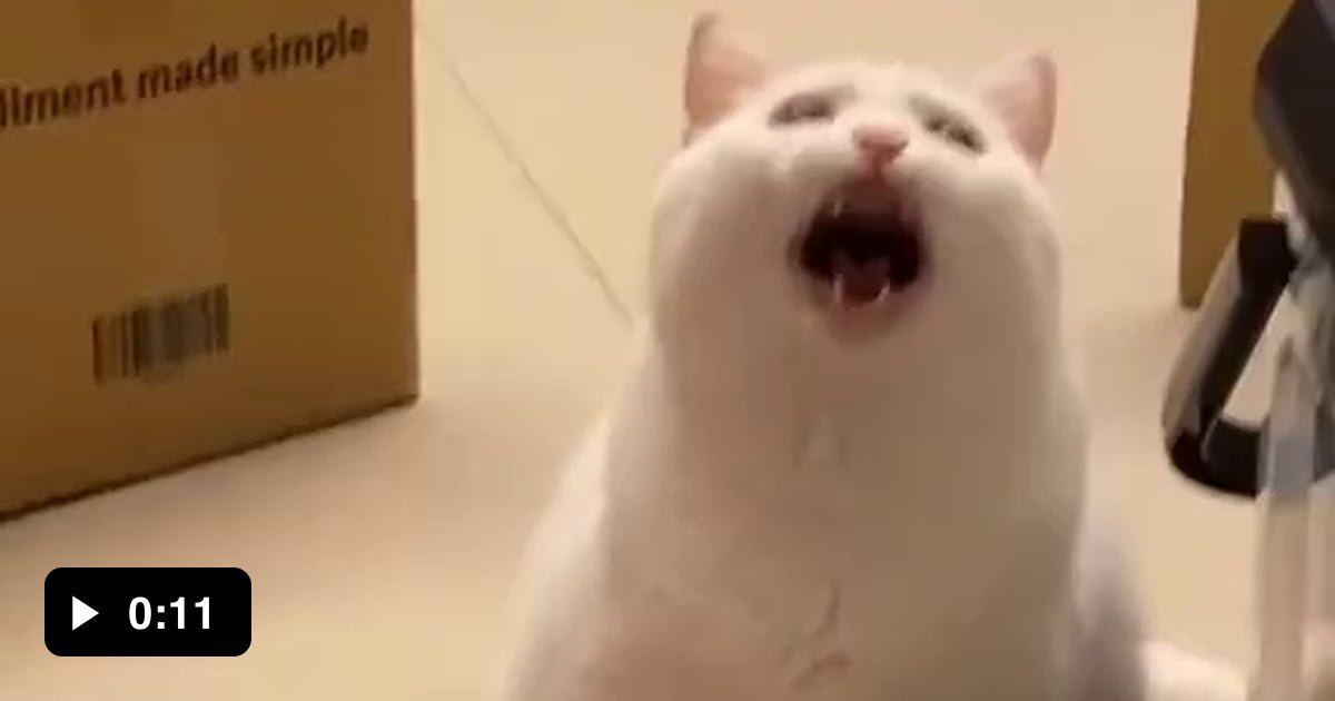 Cat speaking in Fax machine - 9GAG