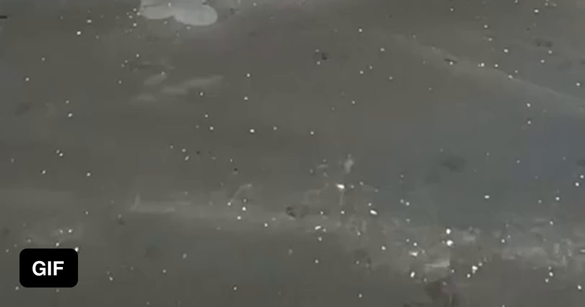 Diving into a shallow puddle - 9GAG