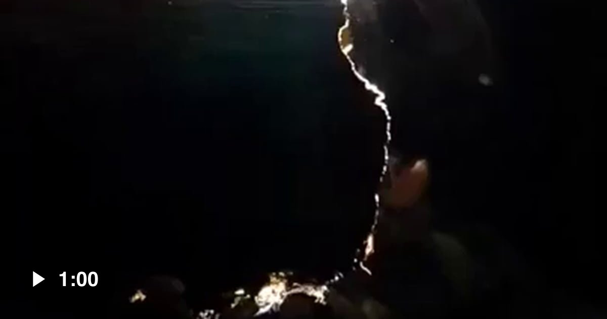 Mushrooms releasing spores, credits to villareal C jojo - 9GAG