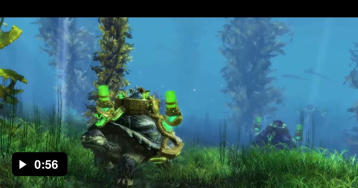 Shut up and give me the turtles! - 9GAG