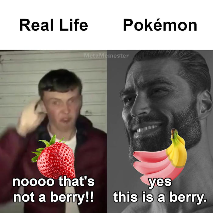 Why can't just everything be a berry - 9GAG