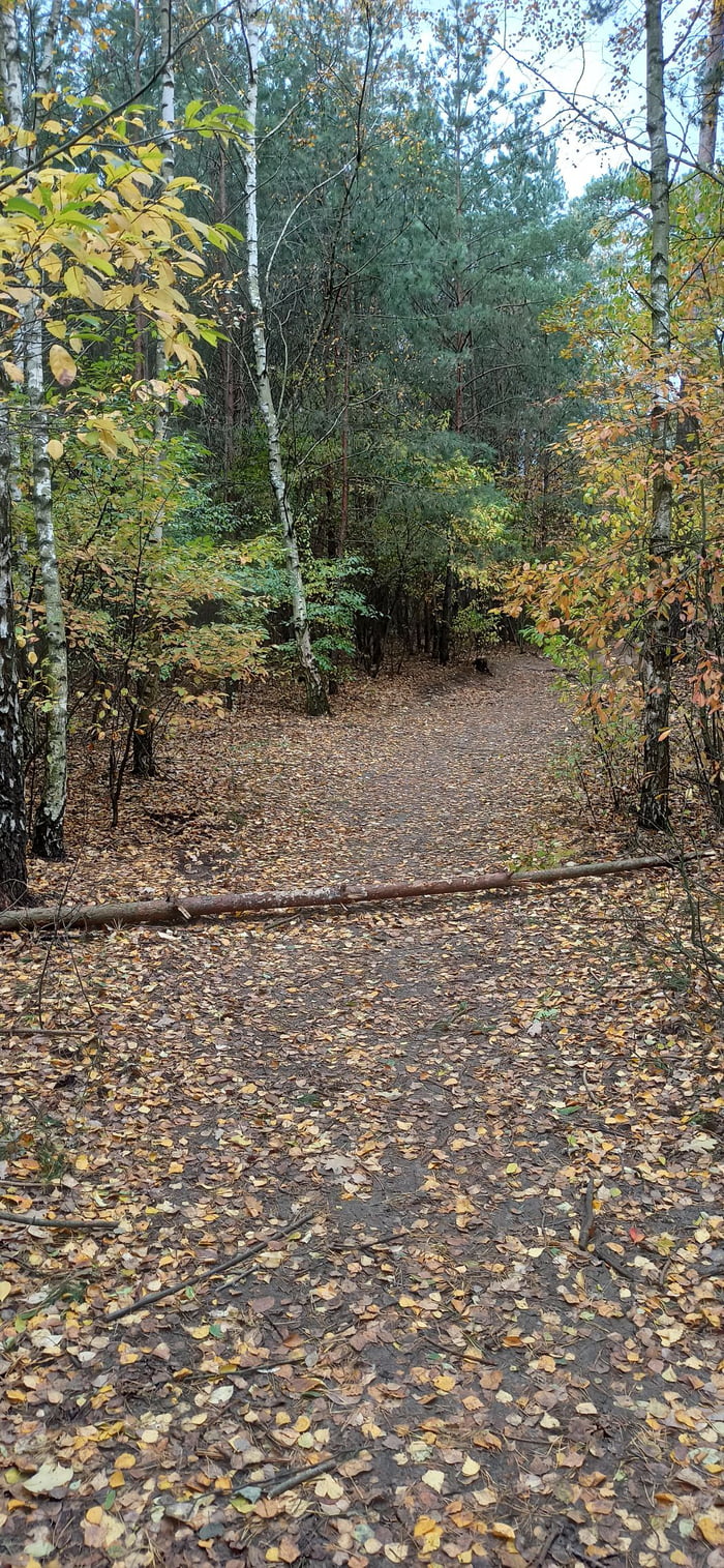 Games be like "This path is blocked"... - 9GAG