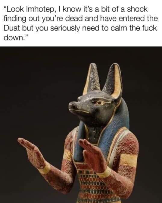 You serious anubis? - 9GAG