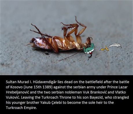 Turkish history - 9GAG