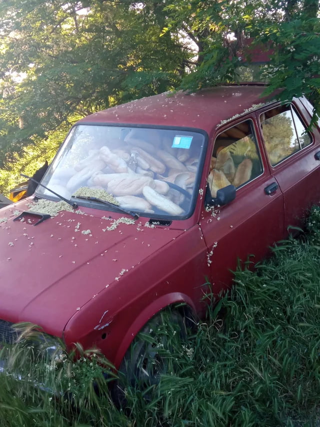 That dude from the math problem - Serbia - 9GAG