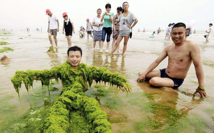 Weird Algae Man - 9GAG