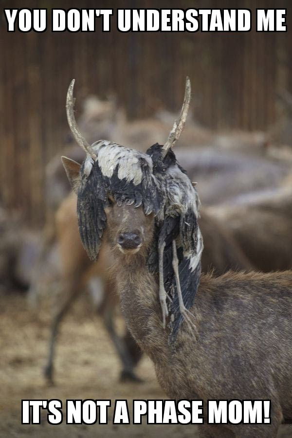 Emo Deer - 9GAG