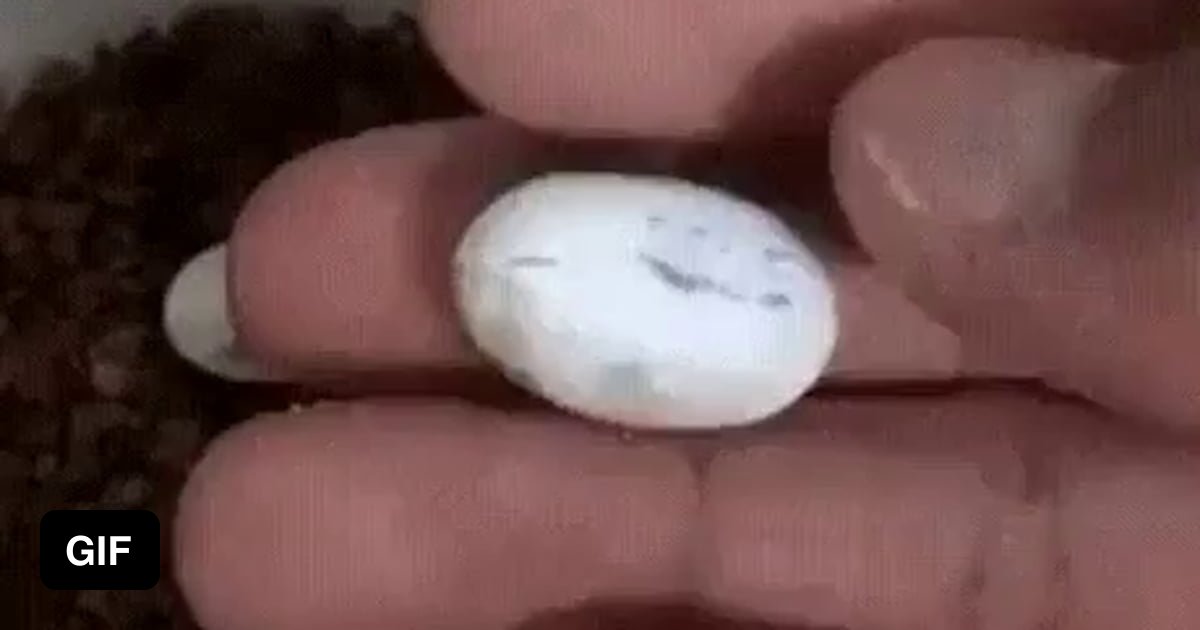 Perfect visual illustration of how sphere has minimum surface area. - 9GAG