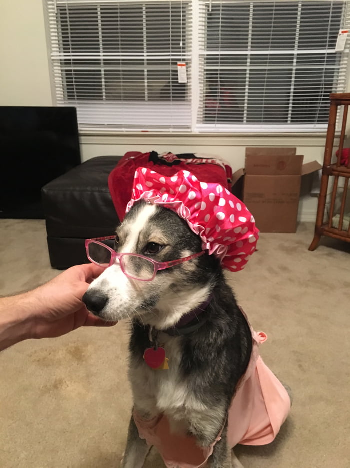 Grandma, what a big nose you have! - 9GAG