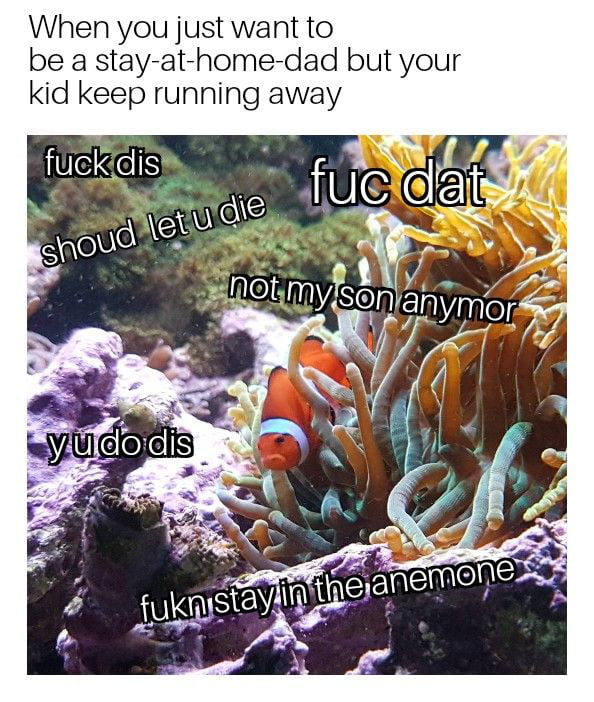 Had enough of your shit Nemo - 9GAG