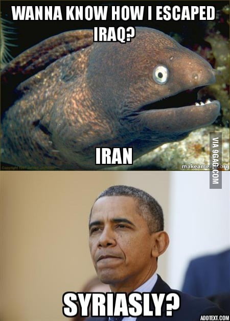 Bad Joke Eel - 9GAG